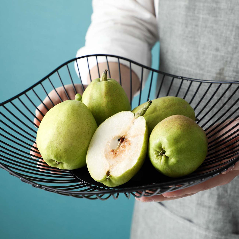 Syrin Fruit Basket